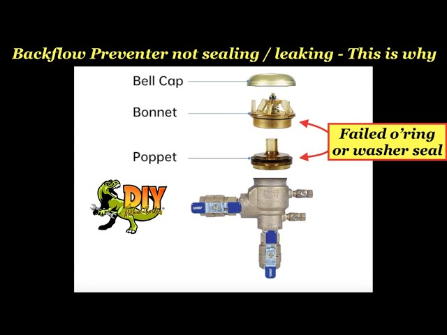 Everything You Need to Know About Irrigation Backflow Valve Leaking ...